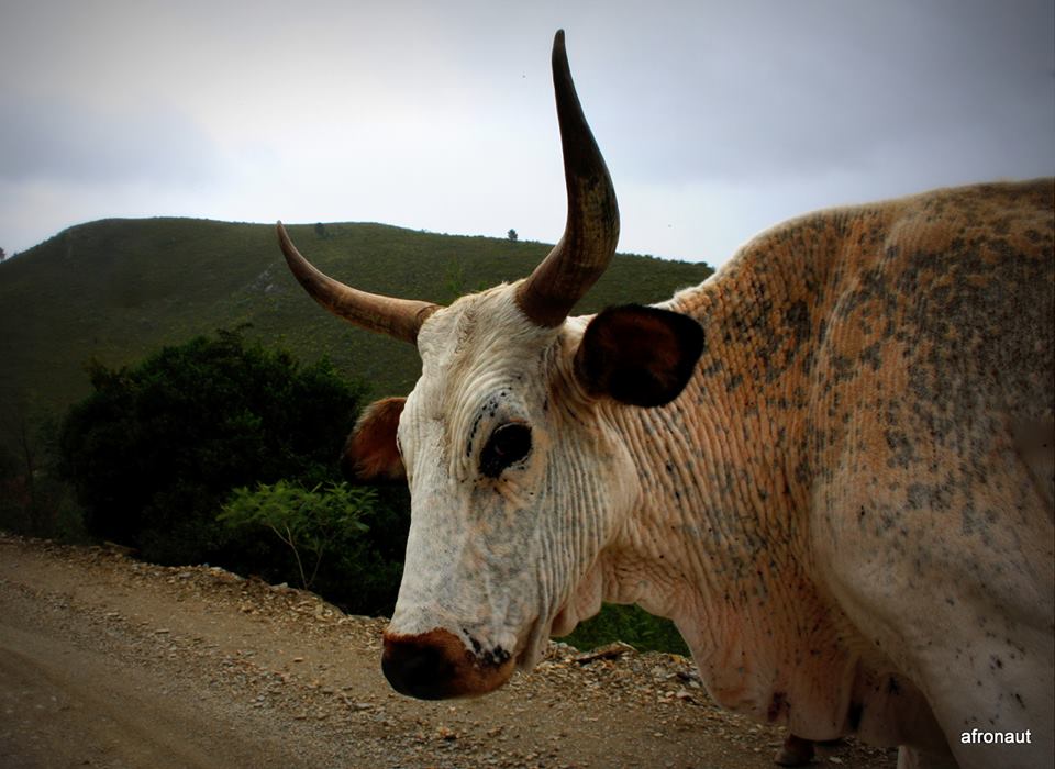 My South Africa A Photo Trip By Afronaut Sapeople Worldwide South