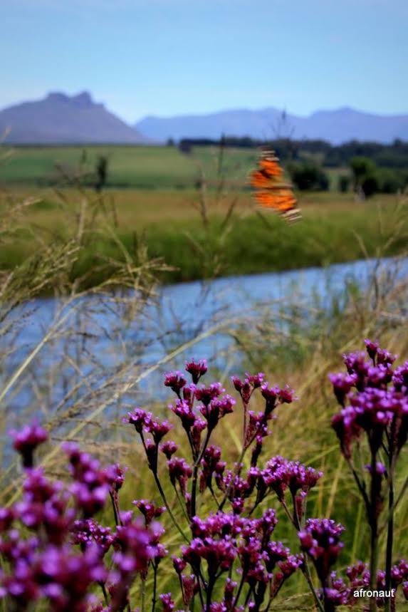 My South Africa A Photo Trip By Afronaut Sapeople Worldwide South