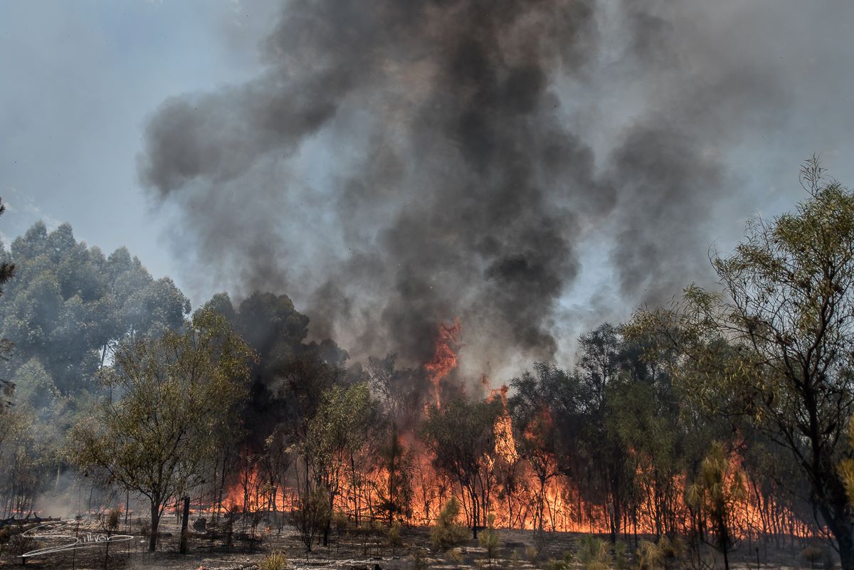 The Elgin Valley Fire in PICTURES - SAPeople - Worldwide South African News