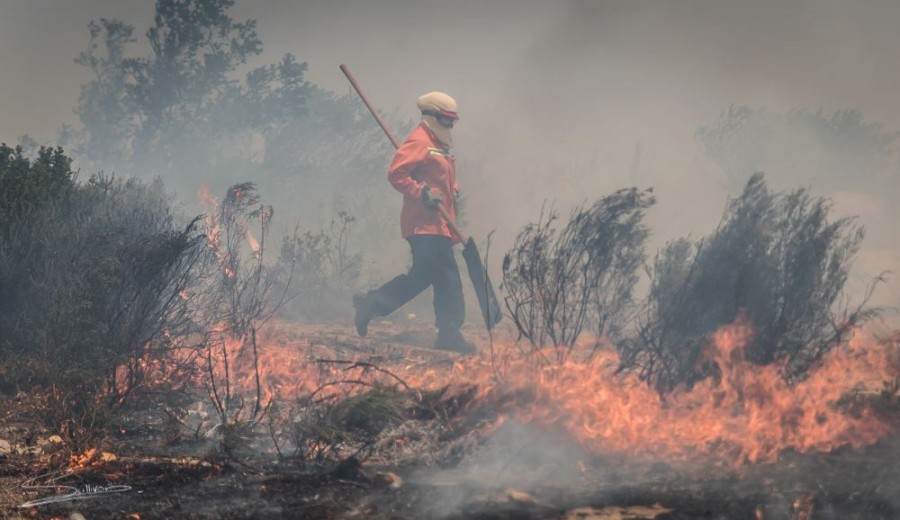 PICTURES from Fire in Ocean View and Kommetjie, South Africa - SAPeople ...