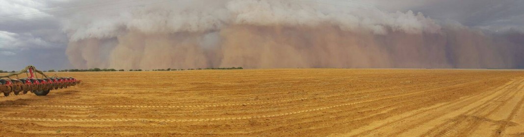 Incredible Photos & Videos of Hoopstad Sandstorm - SAPeople - Worldwide ...
