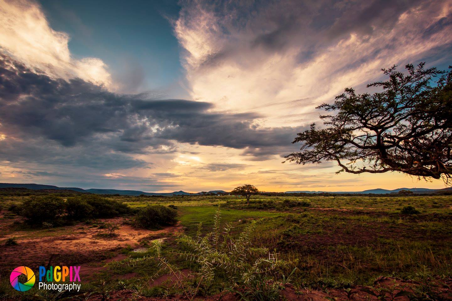 The African Bush - Sunsets, Wildlife and Wonderful Views - SAPeople ...