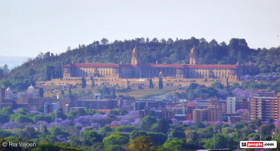 Breathtaking Views of Pretoria as Jacaranda Petals Colour it Purple ...