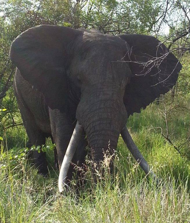 Tsonga Names And Meanings