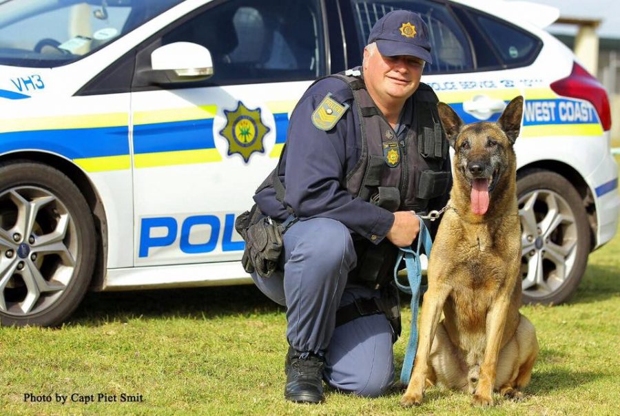 SA Police 'Paw Enforcement' Partner Retires - SAPeople - Worldwide ...