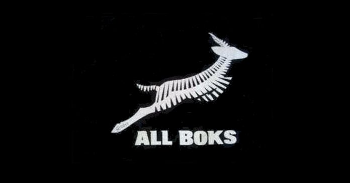 Springboks Beat All Blacks in New Zealand - Jokes, Memes and Viral ...