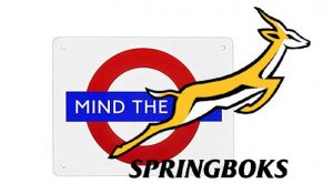 Springbok and Rugby World Cup 2019 Jokes and Memes - SAPeople ...