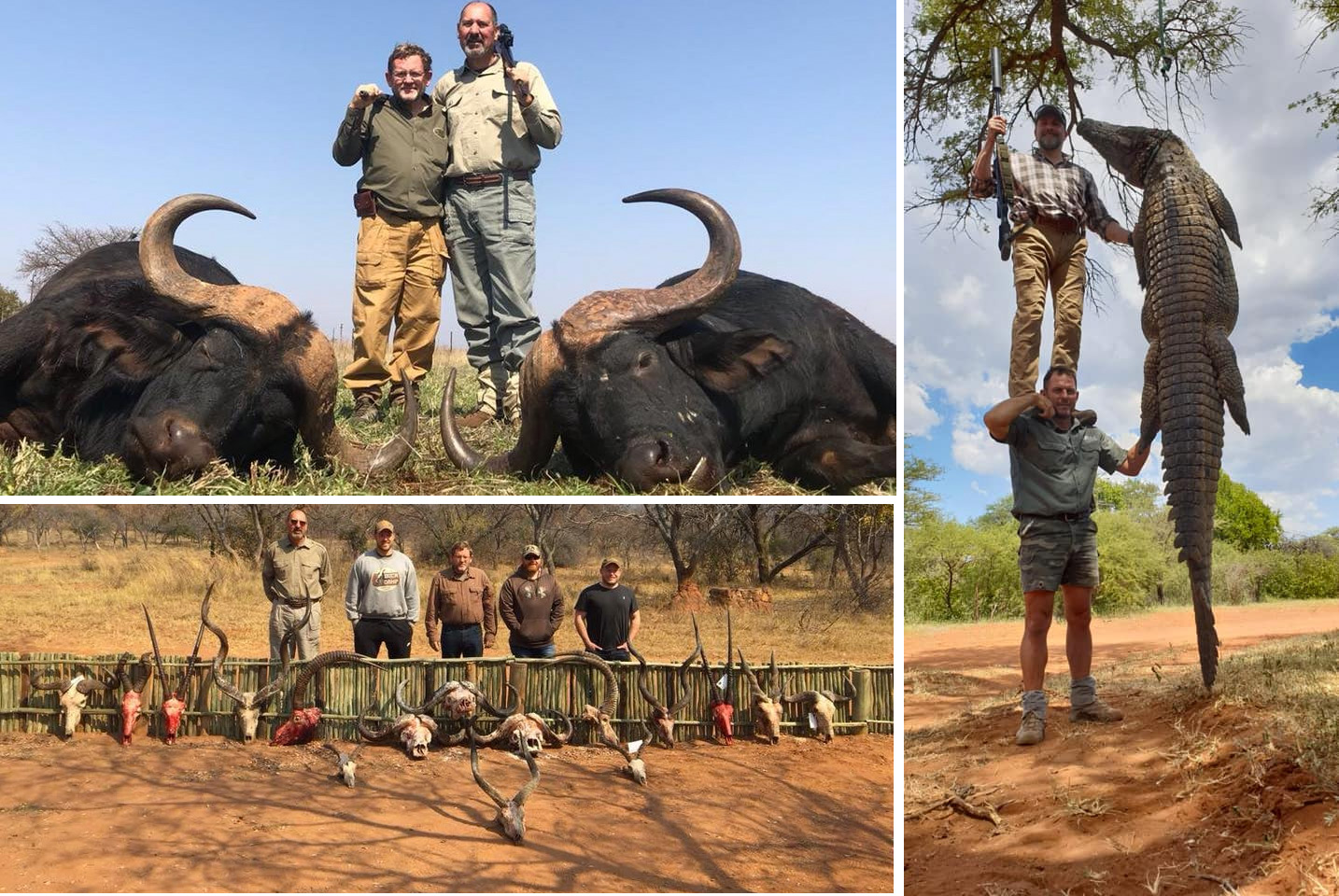 South African President Ramaphosa's Alleged Secret Trophy Hunting ...