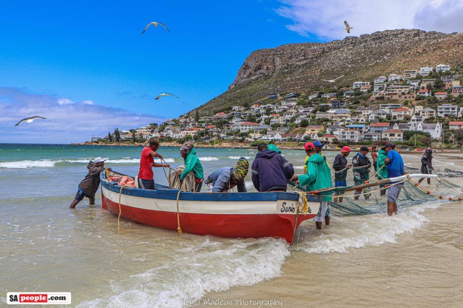 The colourful Trek fishermen of Fish Hoek and Yellowtail - PICTURES ...